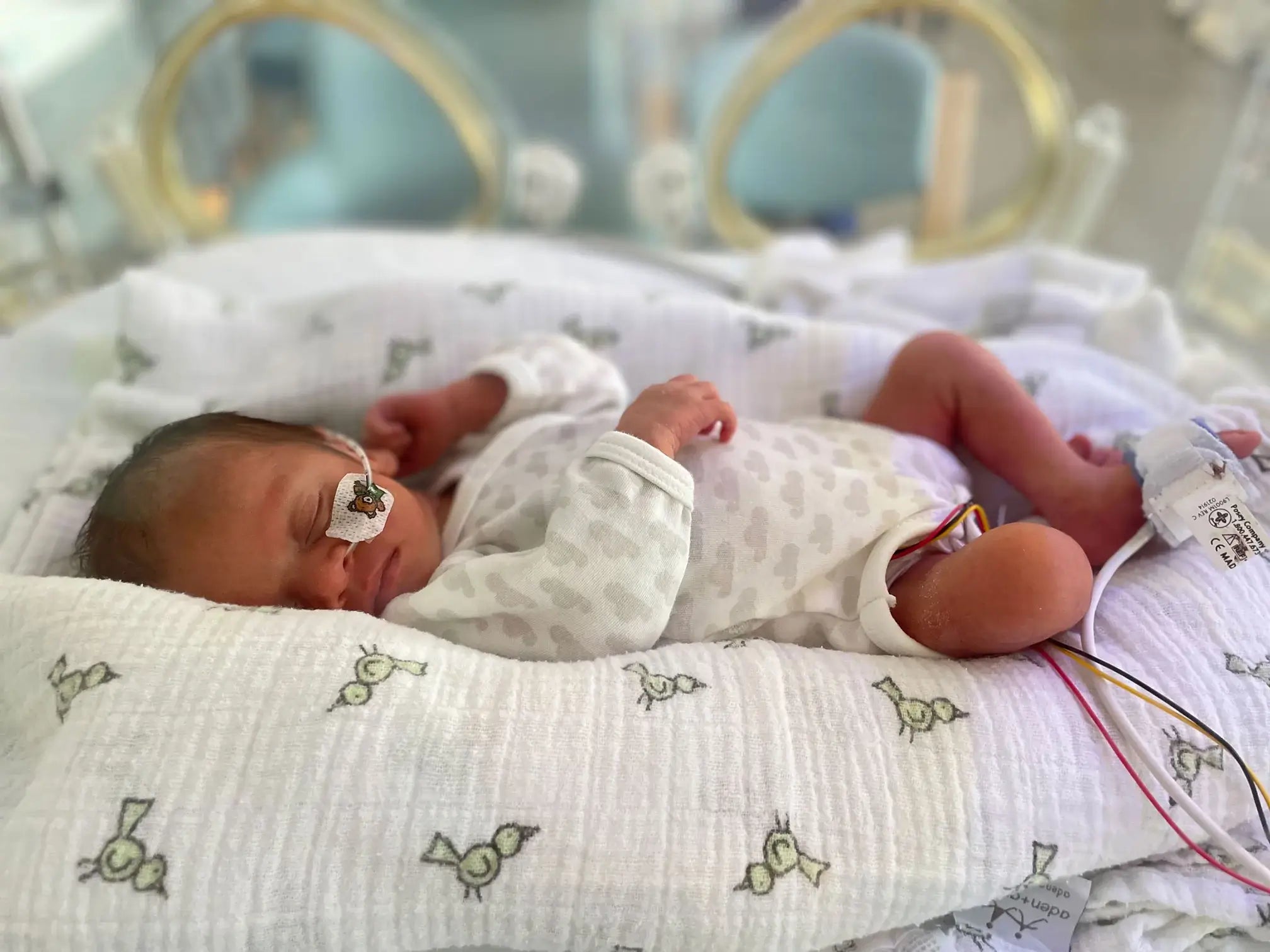 What Gift to Buy a Premature Baby? Thoughtful Ideas for Preemie Parent ...